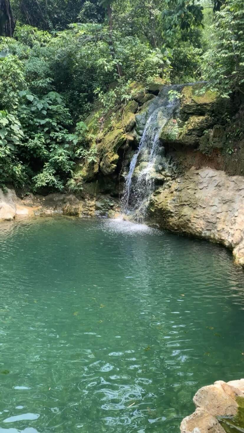 Cicada Nature Park & Wellness - JASA Property Holdings Inc.