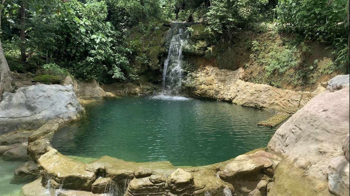 Cicada Nature Park & Wellness - JASA Property Holdings Inc.