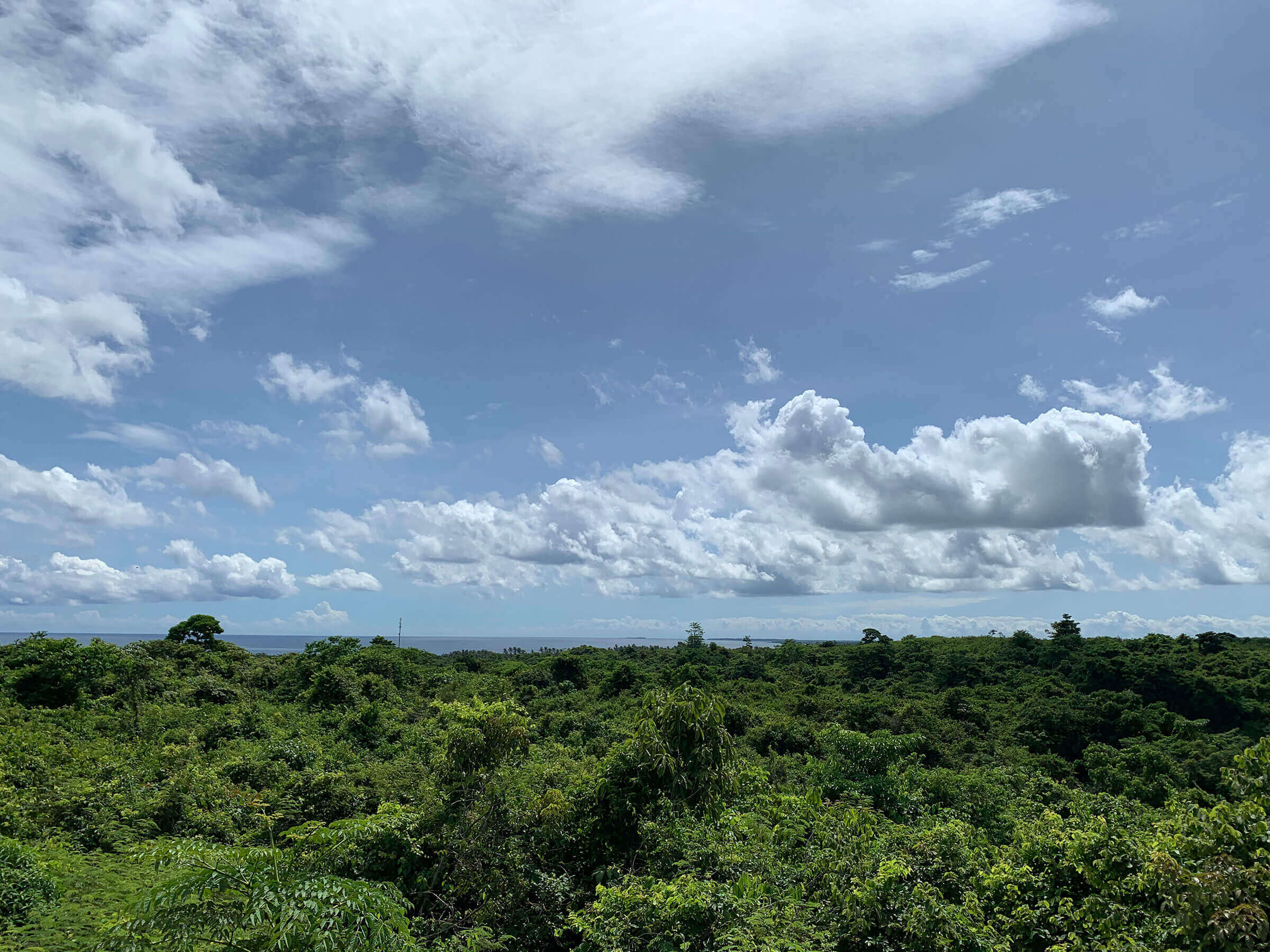 Cicada Nature Park & Wellness - JASA Property Holdings Inc.
