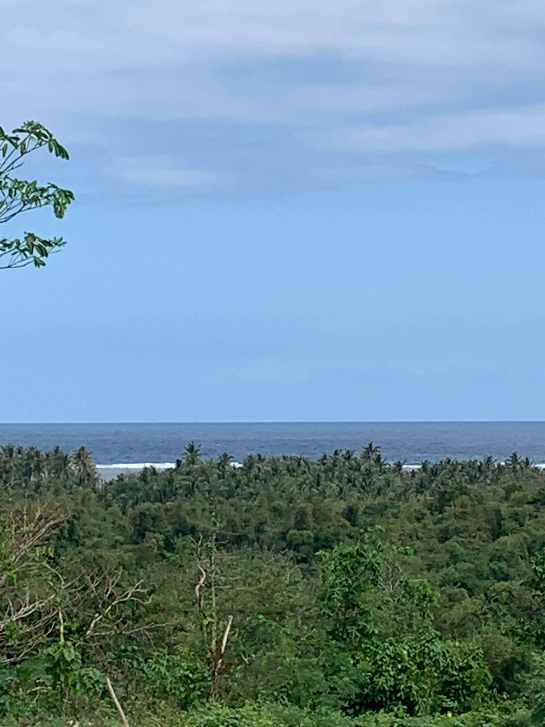 Cicada Nature Park & Wellness - JASA Property Holdings Inc.