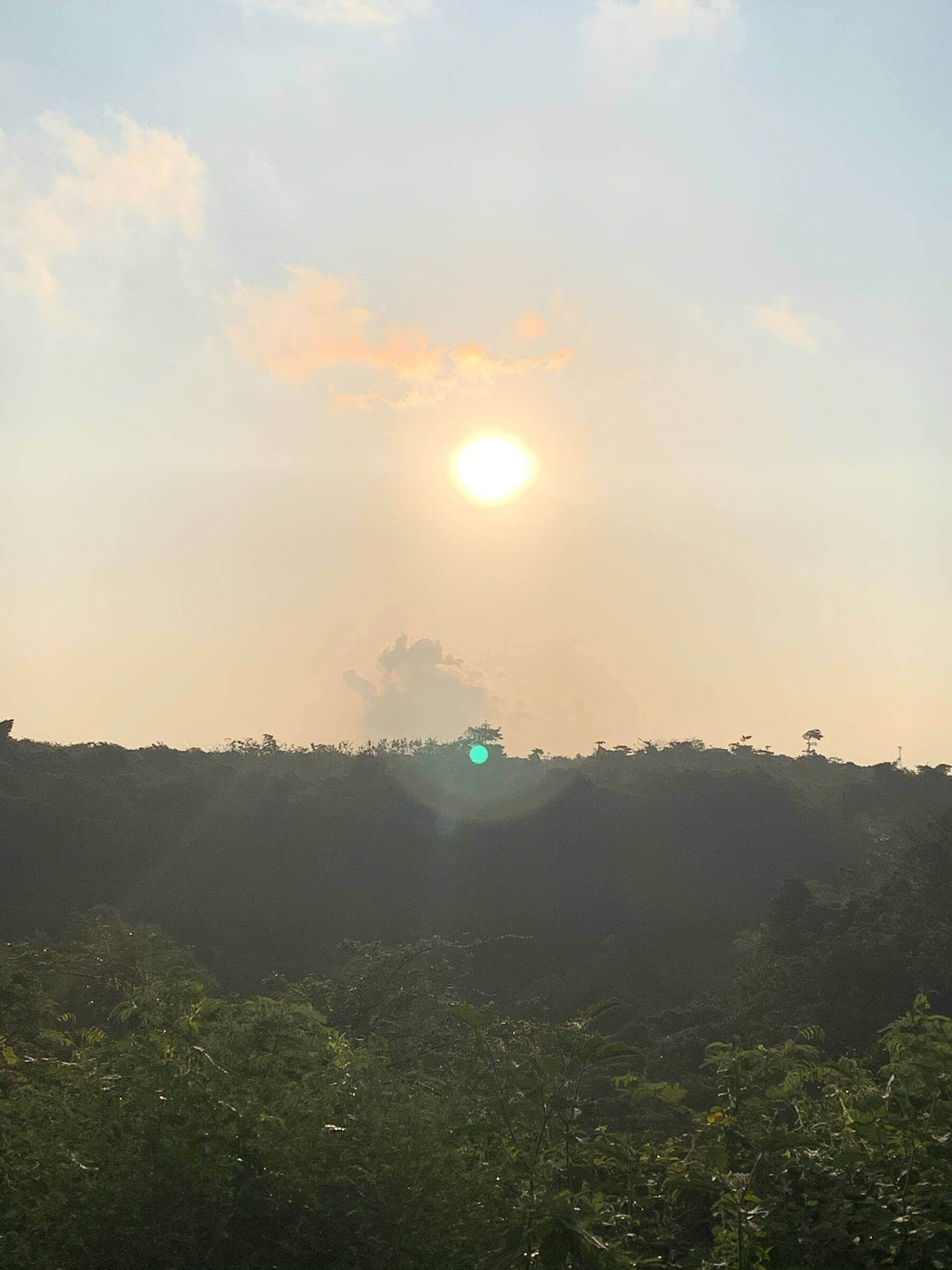 Cicada Nature Park & Wellness - JASA Property Holdings Inc.